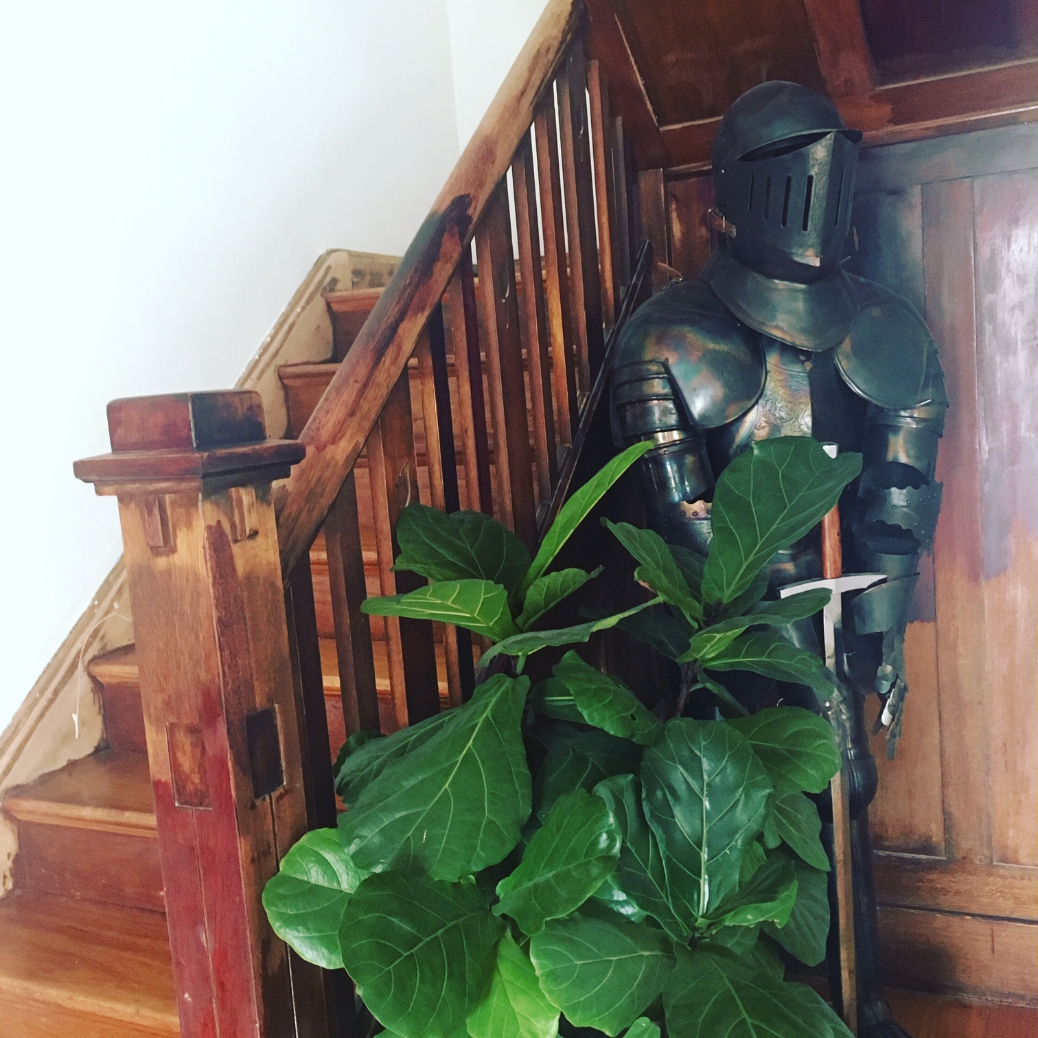 History buffs of the world, unite! | Meaghan Wilson Anastasios